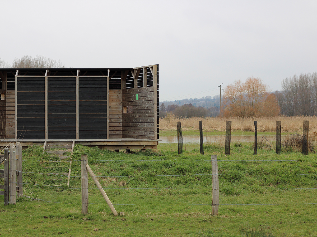 Le marais de la Touques - Calvados